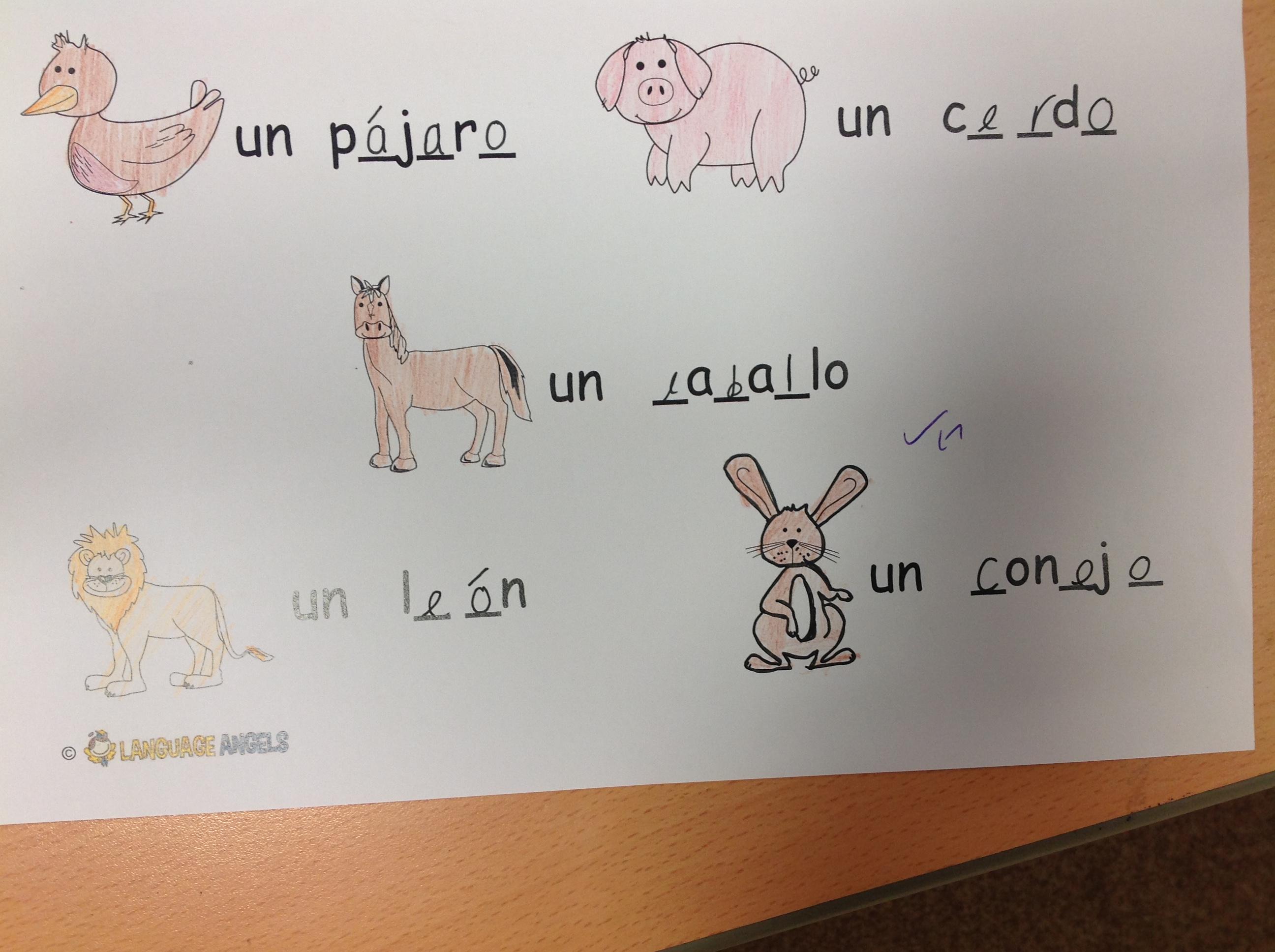 St Francis Xavier Catholic Primary School - MFL