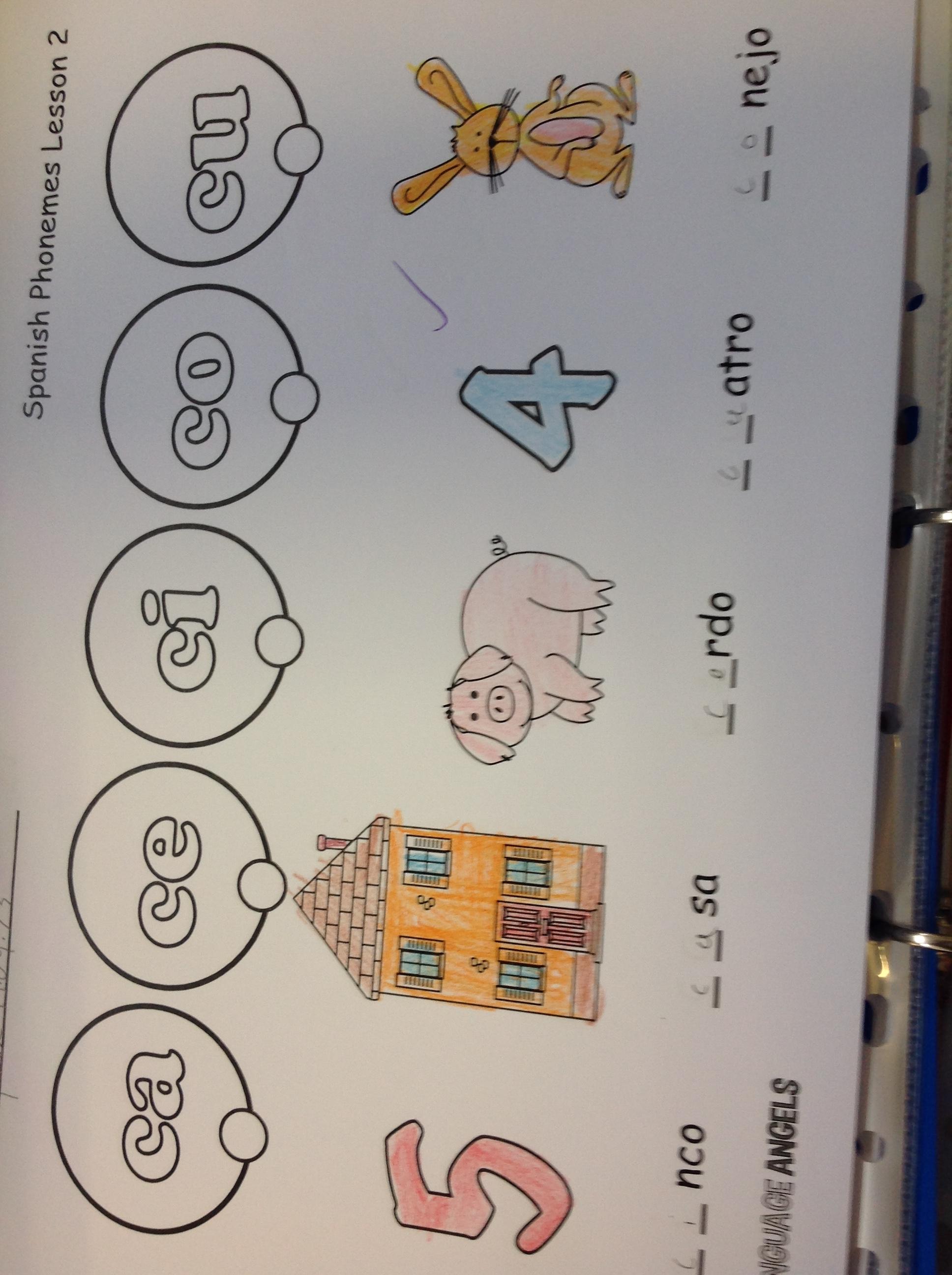 St Francis Xavier Catholic Primary School - MFL